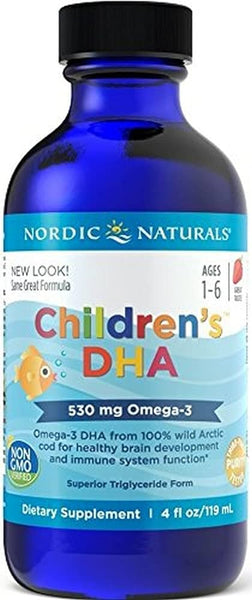 Nordic Natural Children Dha 4Oz Syrup 119 ml – Dermame